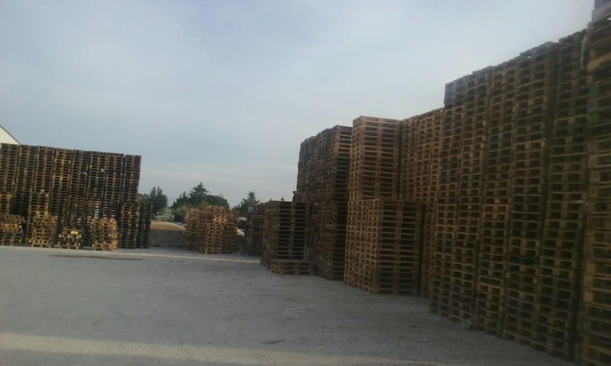 AZIENDA – DUECCI PALLETS